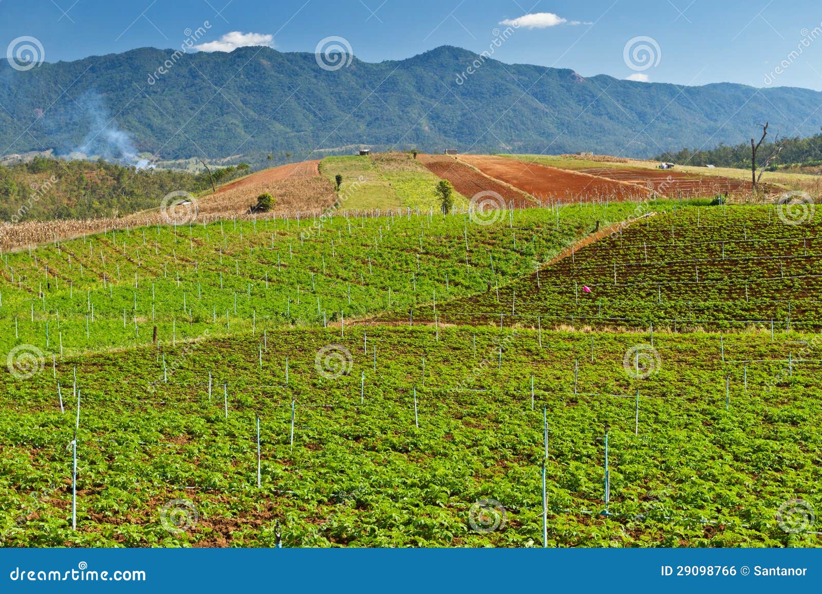 Agriculture valley stock photo. Image of rural, valley - 29098766