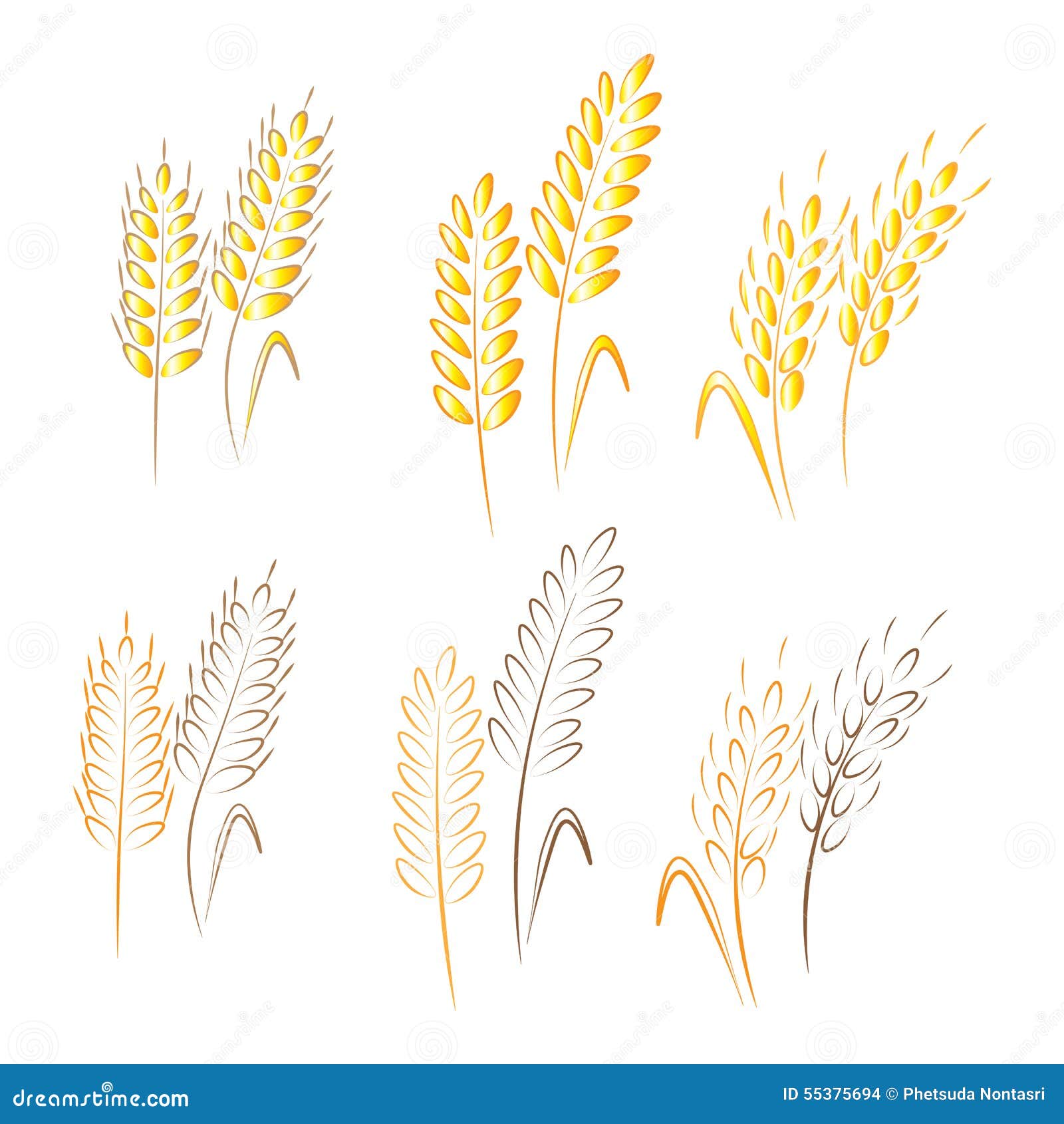 Rice Seed Agriculture Vector Flower Design Vector Cartoon Illustration ...