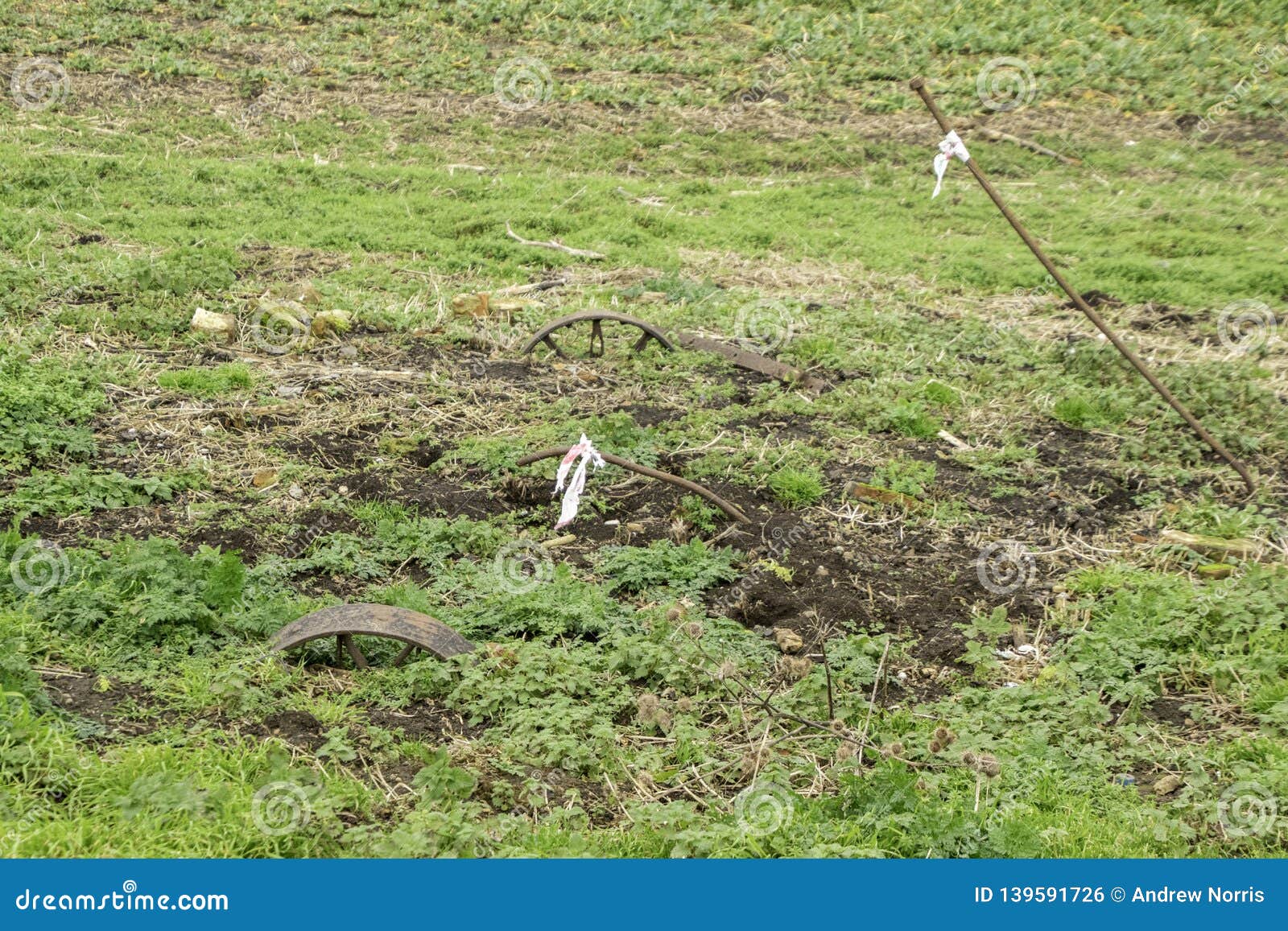 Agriculture stock photo. Image of growth, agriculture - 139591726