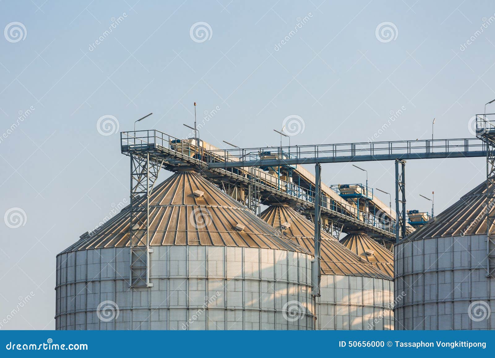 Agriculture Wheat Rice Silo Stock Photo - Image of manufacturing ...