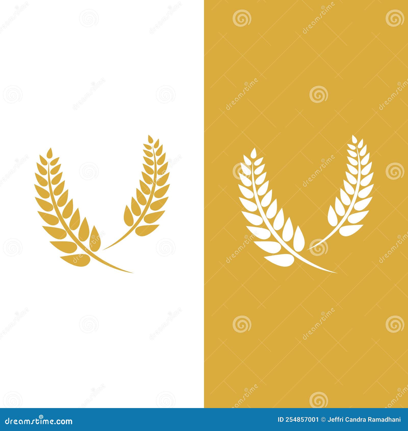 Agriculture wheat vector stock vector. Illustration of cereal - 254857001