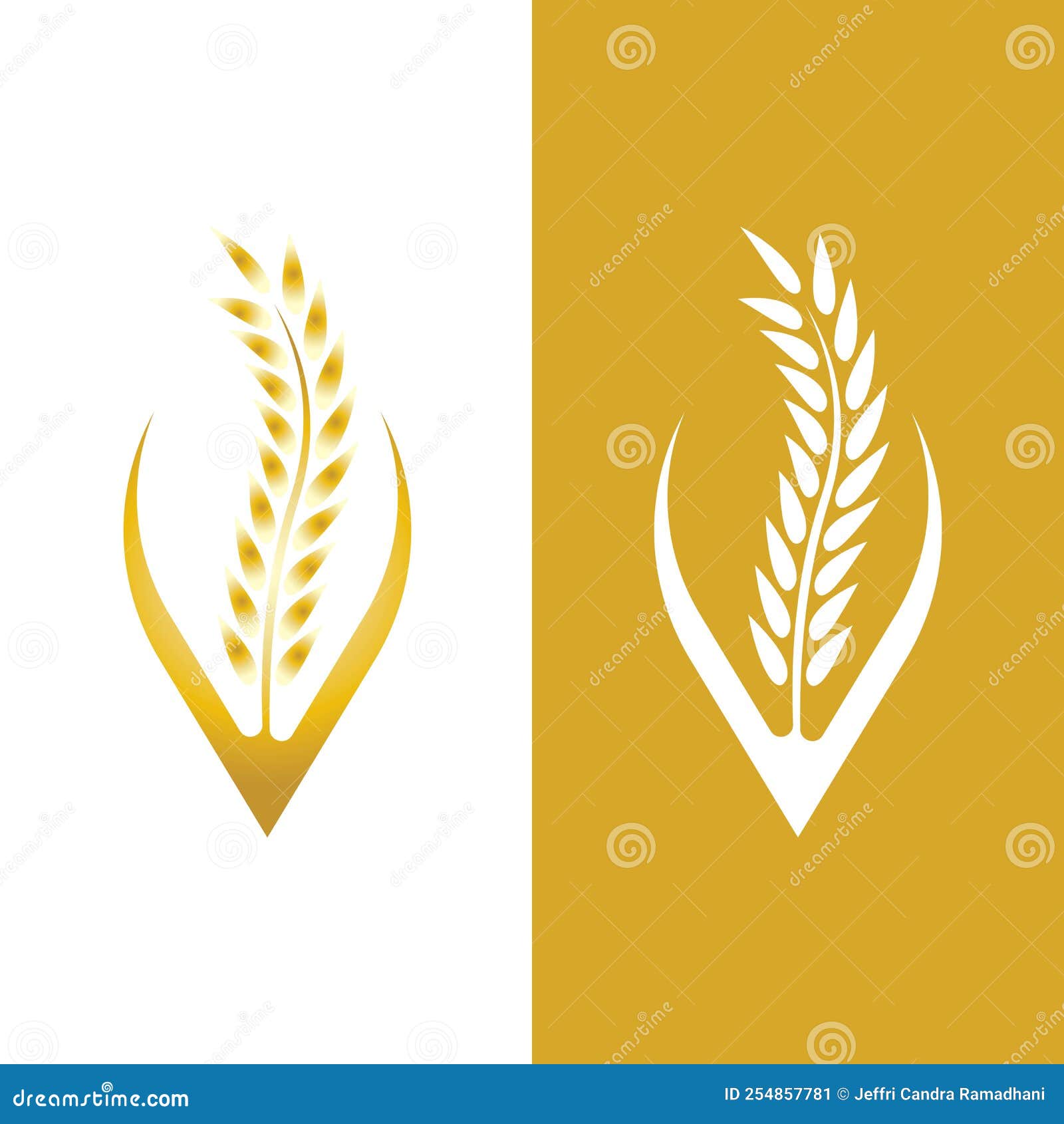 Agriculture wheat vector stock vector. Illustration of grain - 254857781