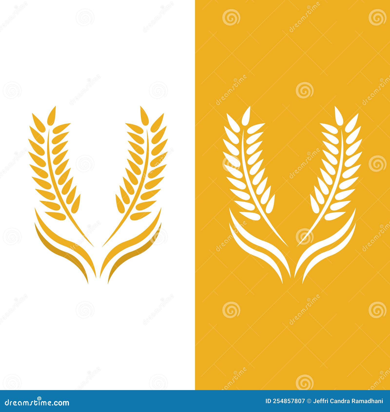 Agriculture wheat vector stock vector. Illustration of barley - 254857807