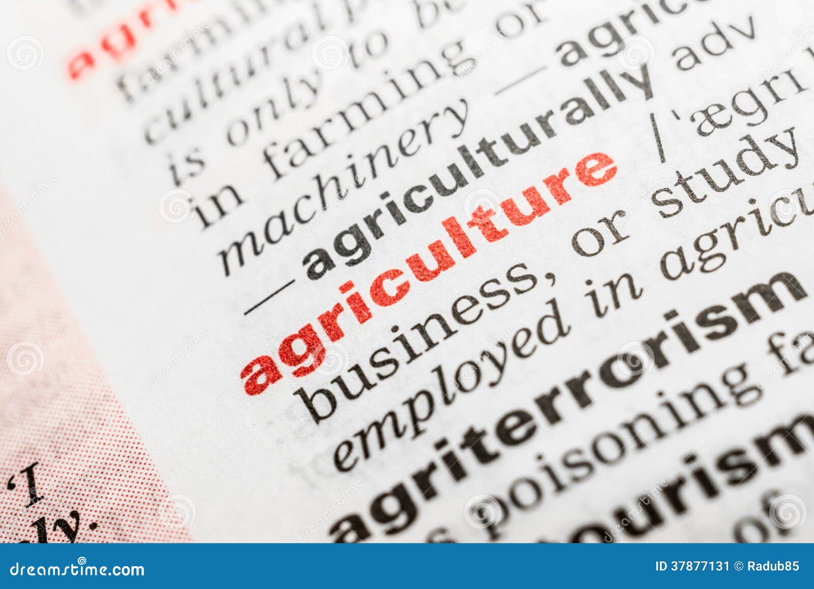 Agriculture Word Definition Stock Image - Image of healthy, agriculture ...