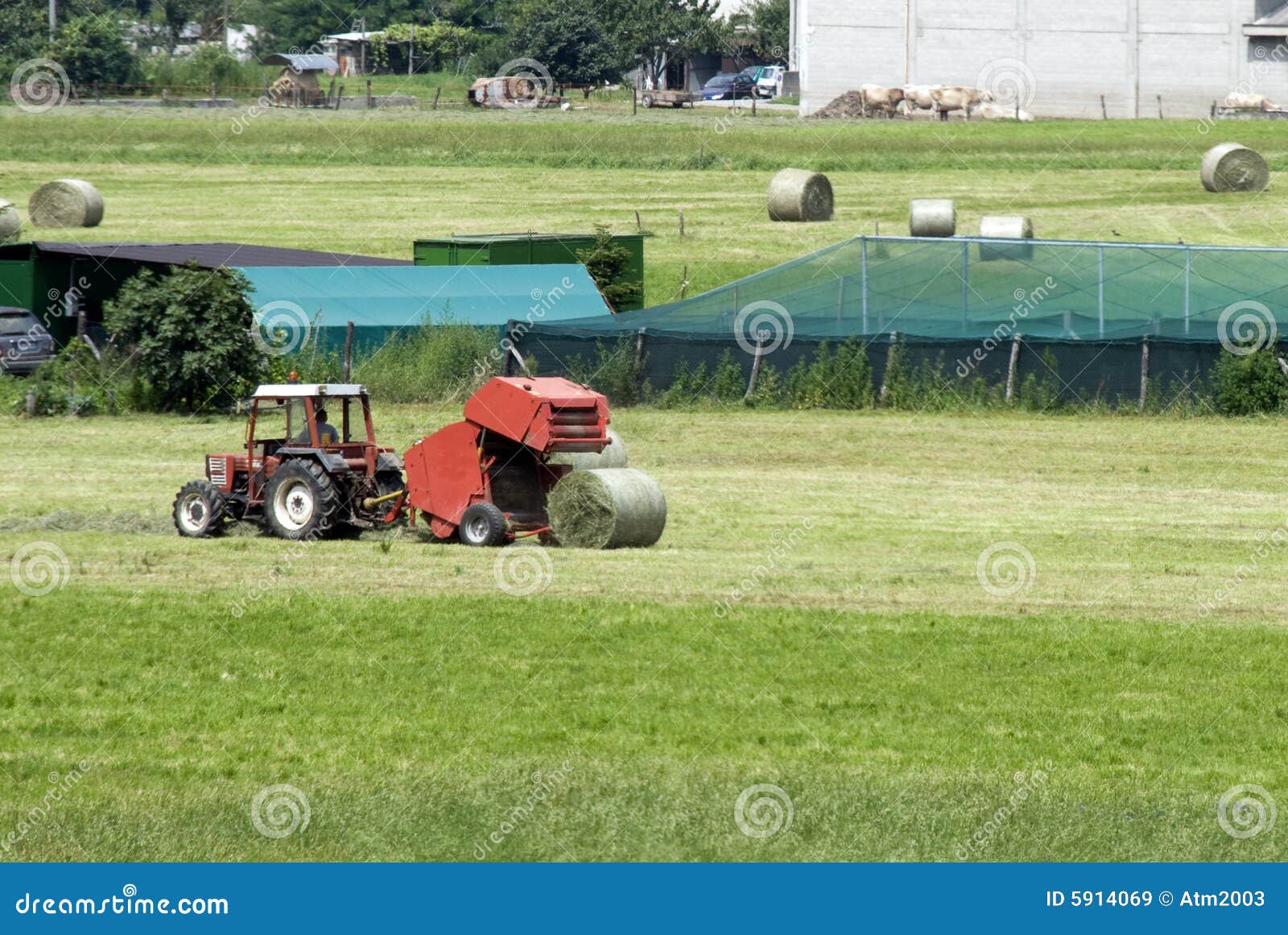 Agriculture works stock image. Image of cultivate, crop - 5914069