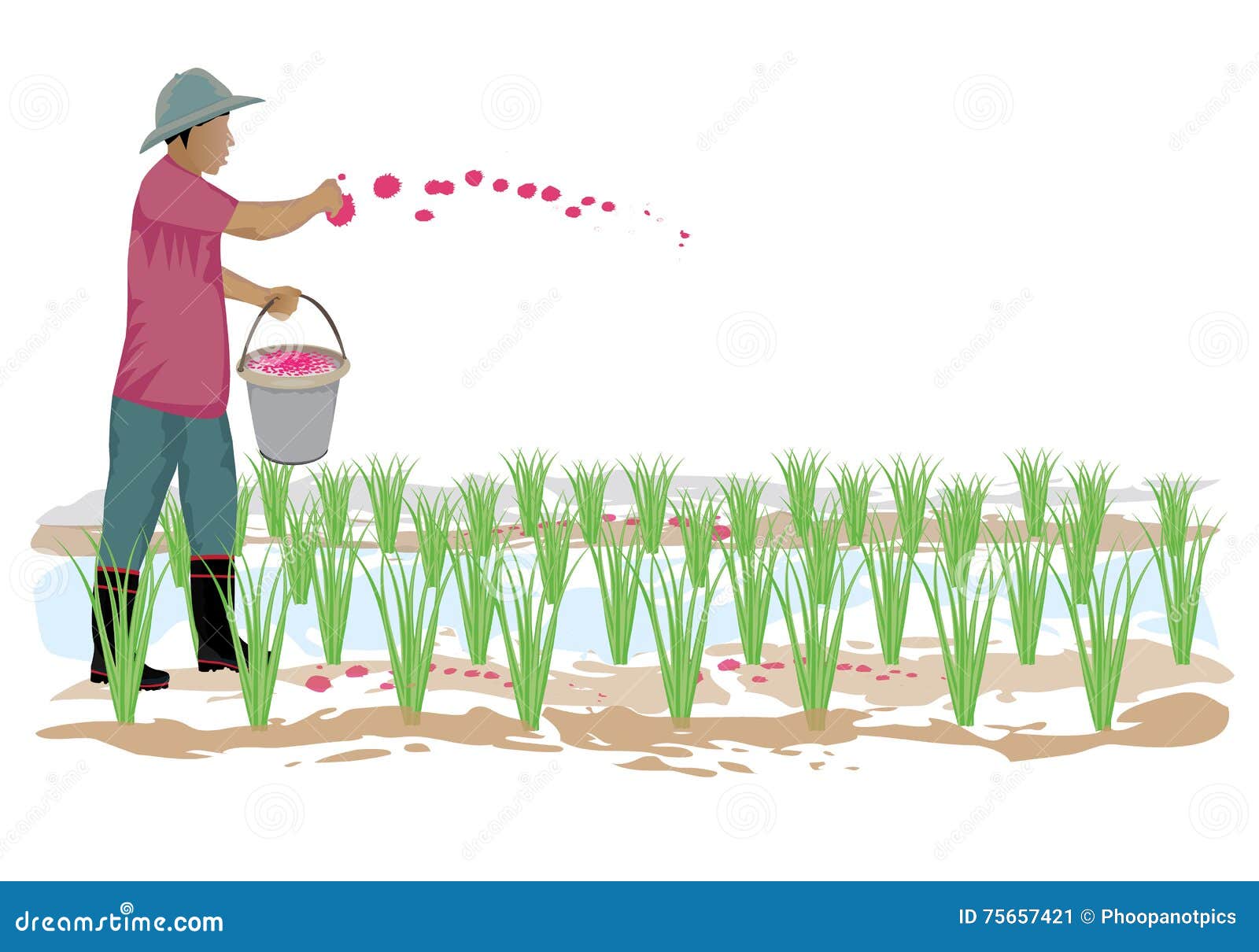 Agriculturist Manure Rice Plant Stock Illustration - Illustration of ...