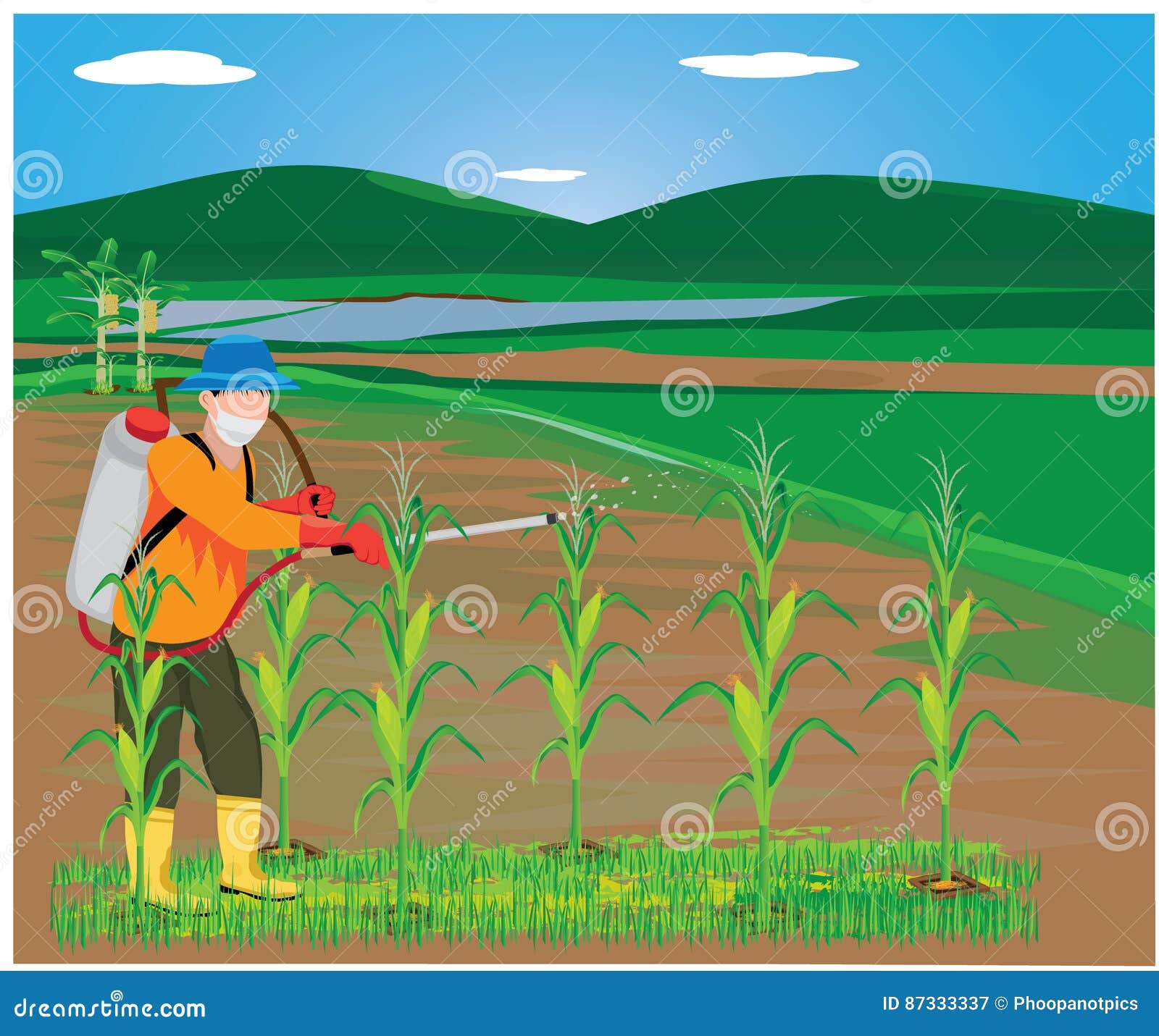 Agriculturist Spray Corn Plant Stock Vector - Illustration of work ...