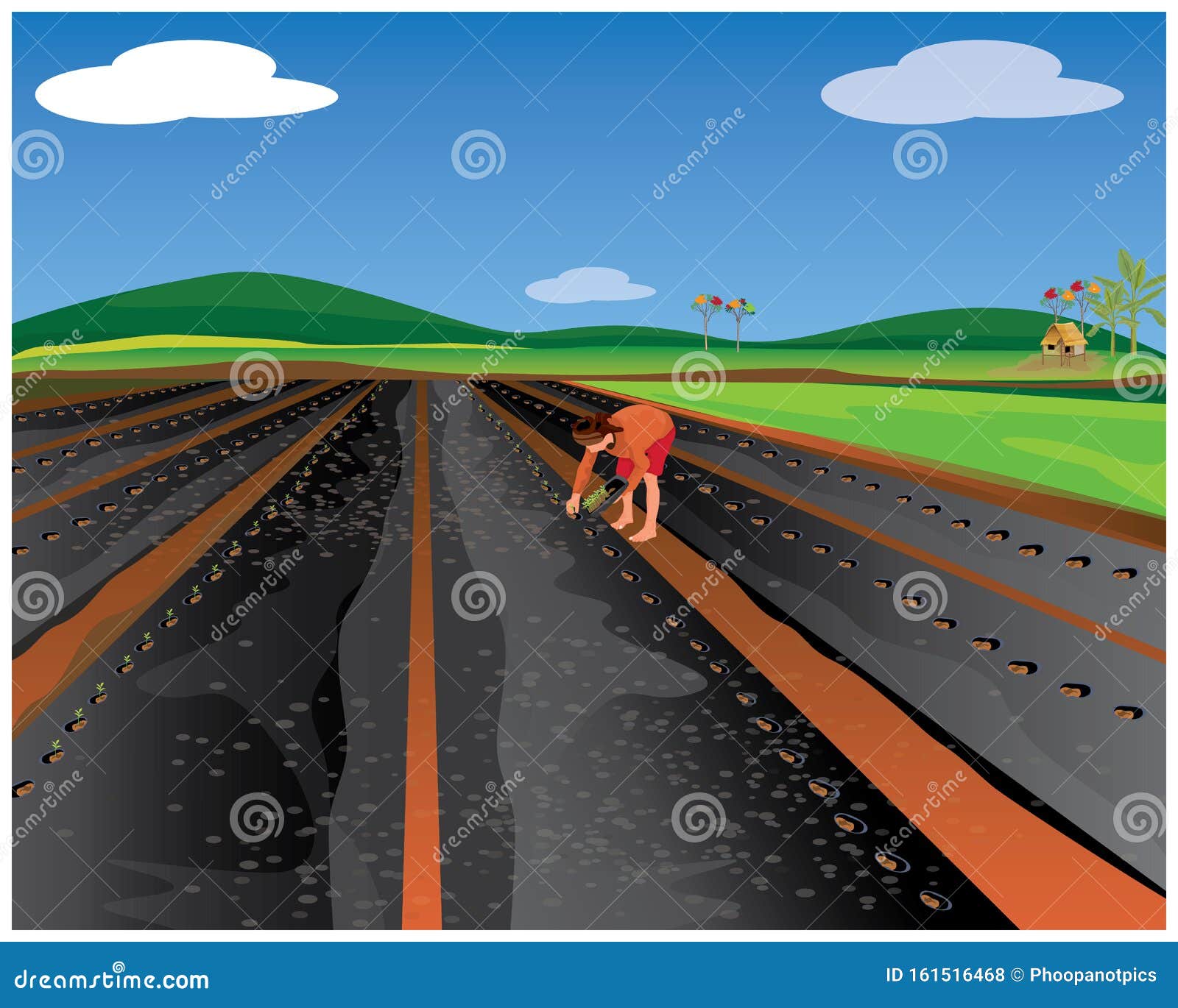 Agriculturist Work in Agricultural Plot Stock Vector - Illustration of ...