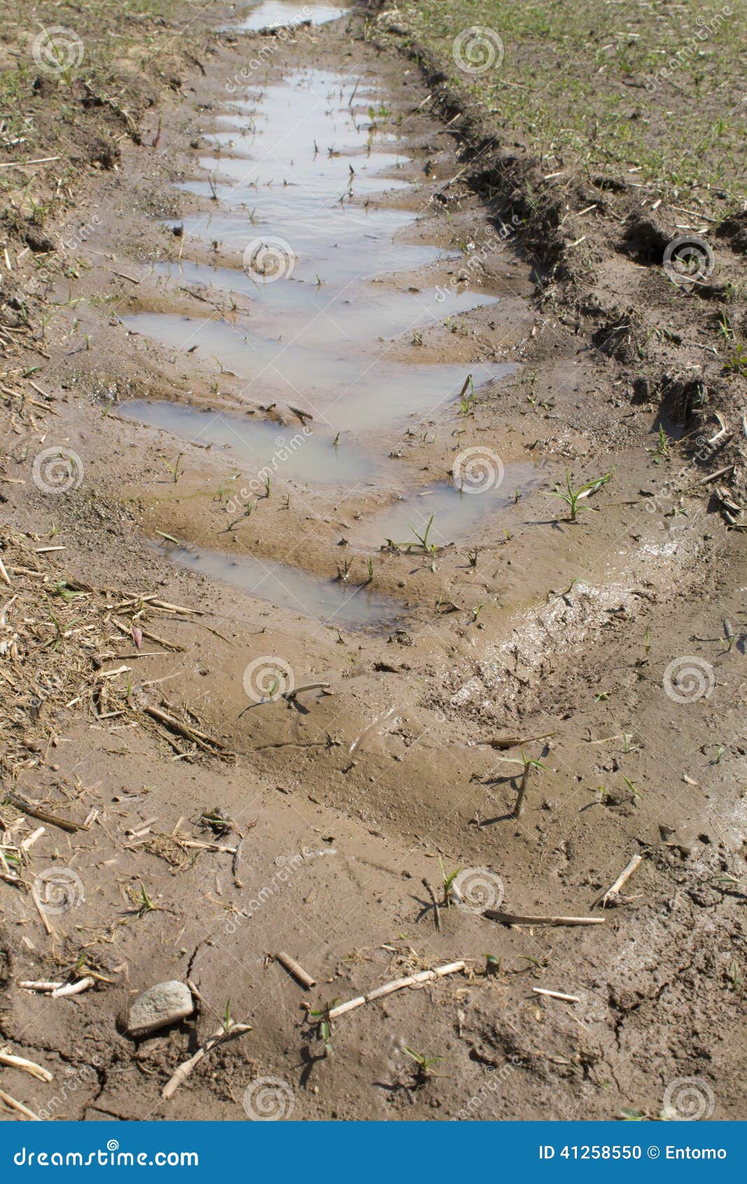 Agrimotor Mud Trail with Water Stock Photo - Image of trails, texture ...