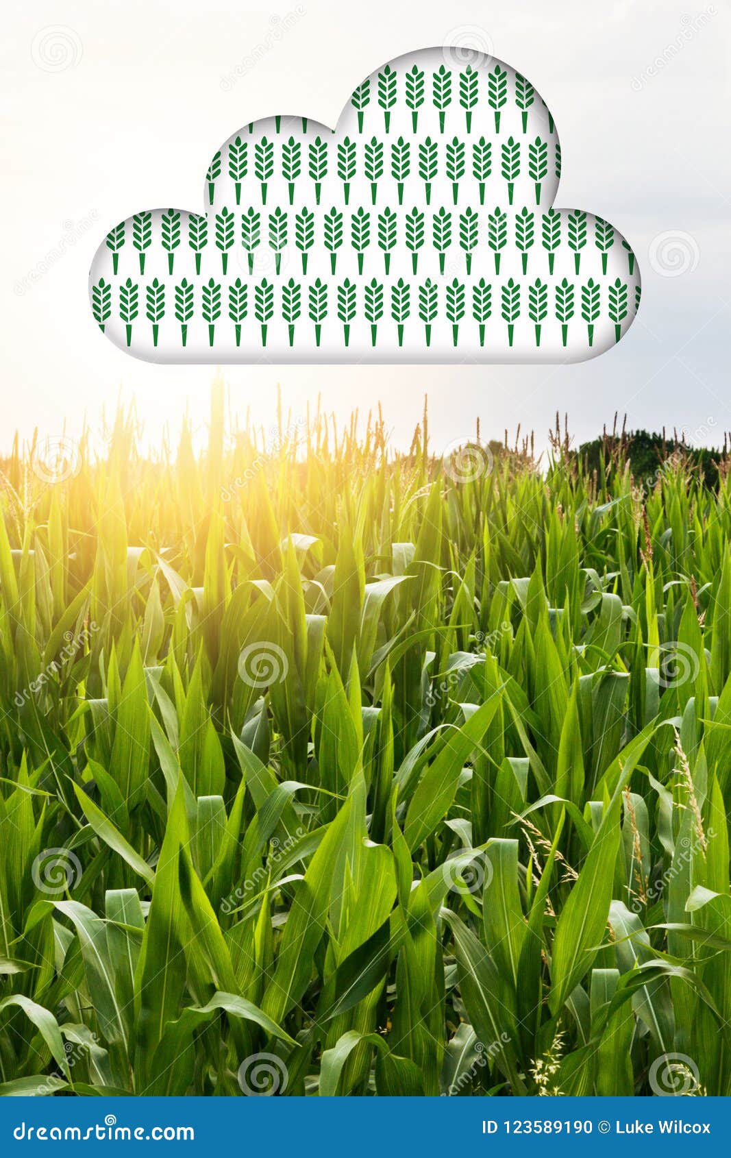 Smart Agritech Livestock Farming Concept. Modern Dairy Farm ...