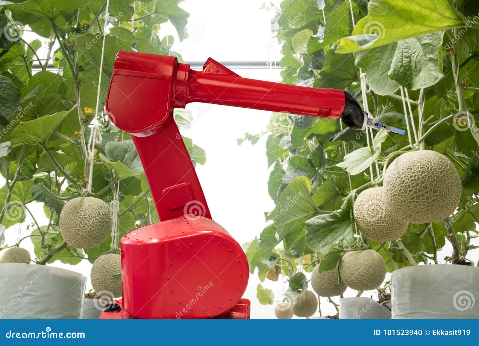 Agritech Technology Concept, Stock Photo - Image of management, nature ...