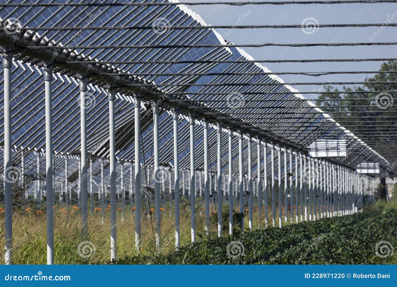 Agrivoltaic stock photo. Image of panel, aluminum, agrivoltaics - 228971220