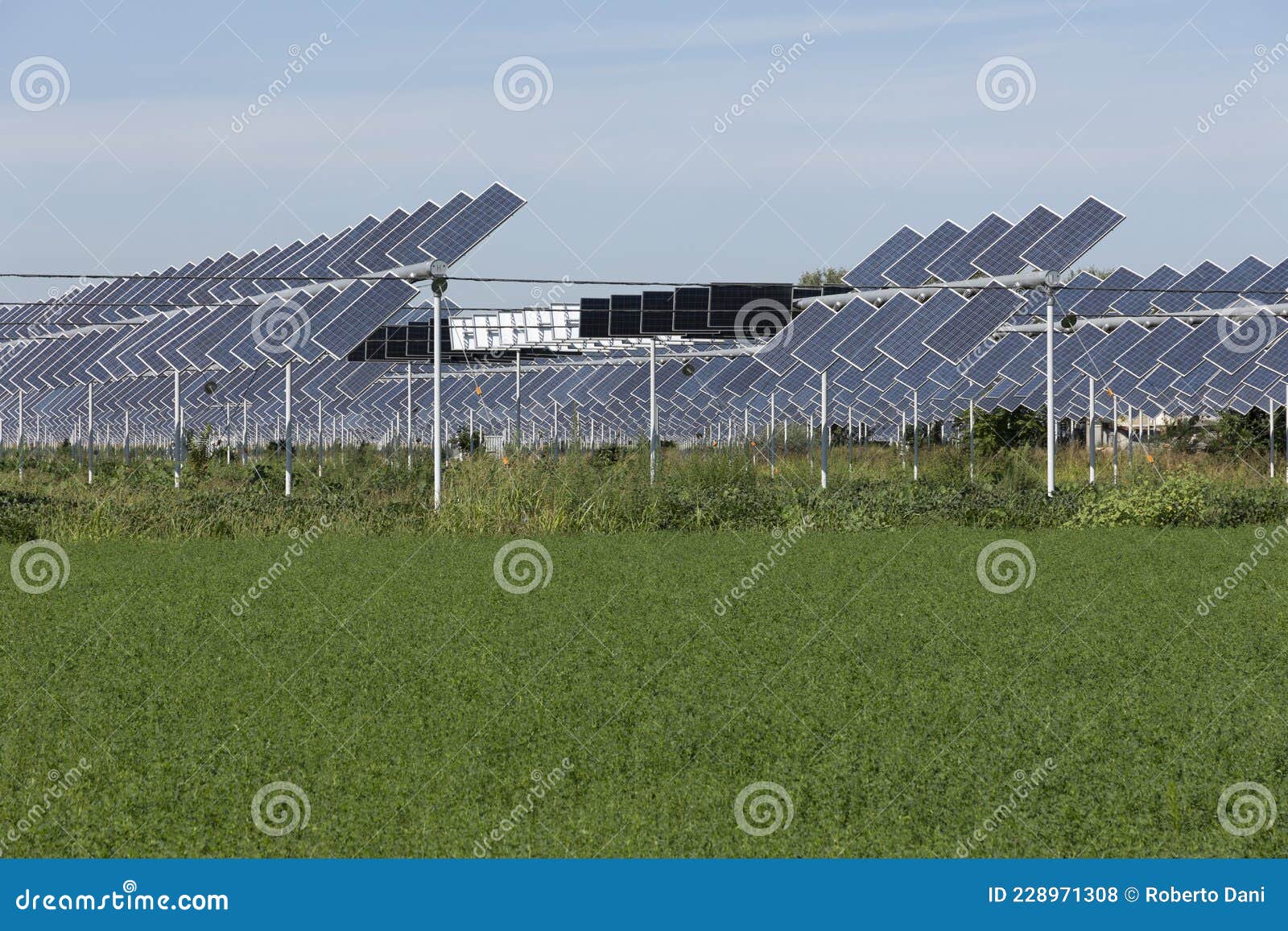 Agrivoltaic stock photo. Image of environment, agrivoltaics - 228971308