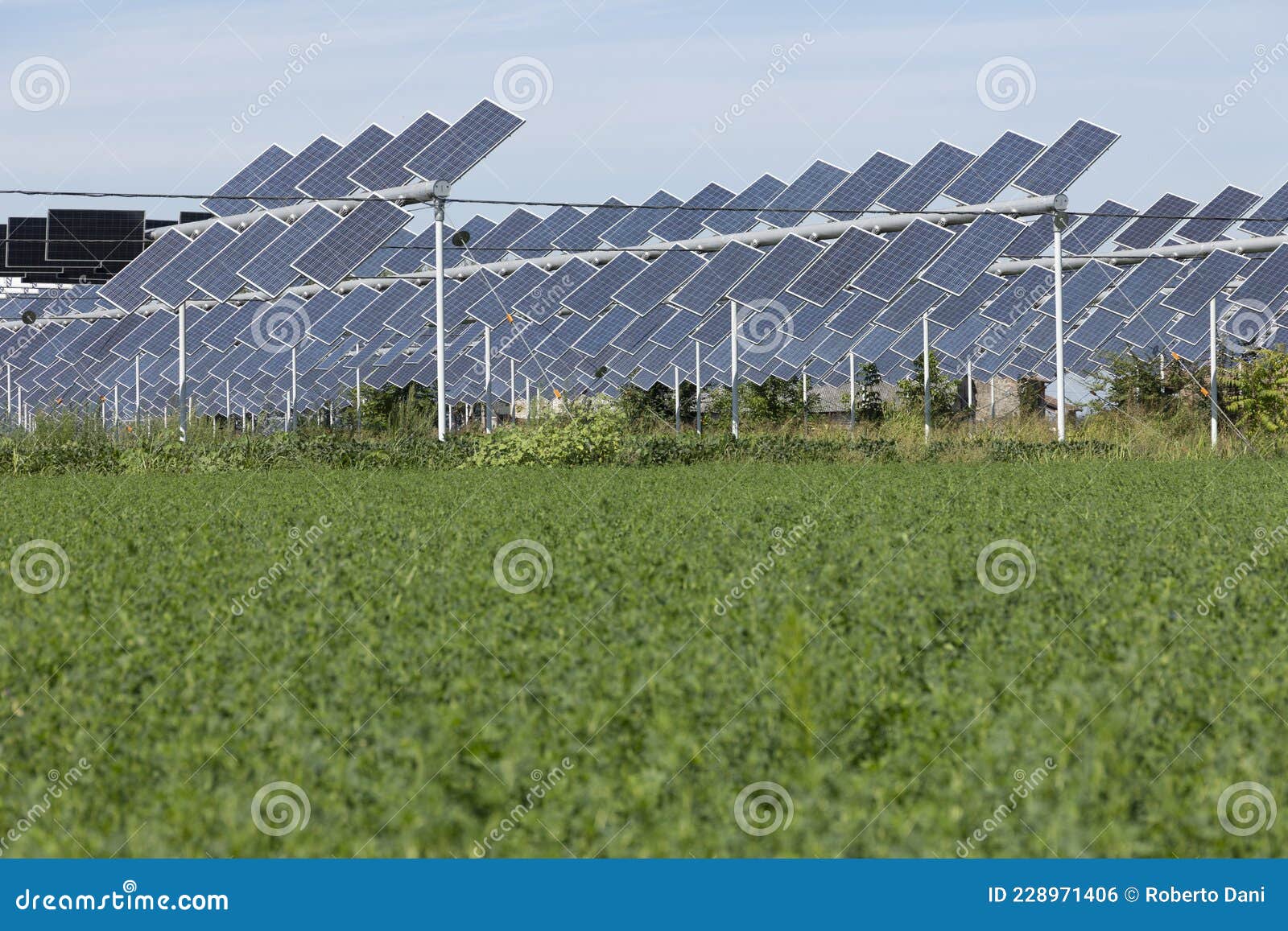Agrivoltaic stock photo. Image of delivery, renewable - 228971406