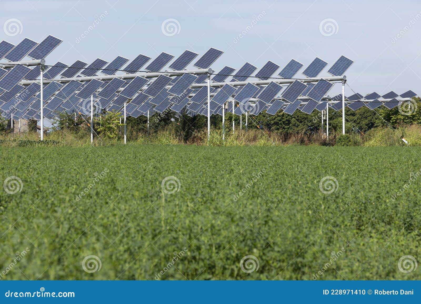 Agrivoltaic stock photo. Image of soil, alternative - 228971410