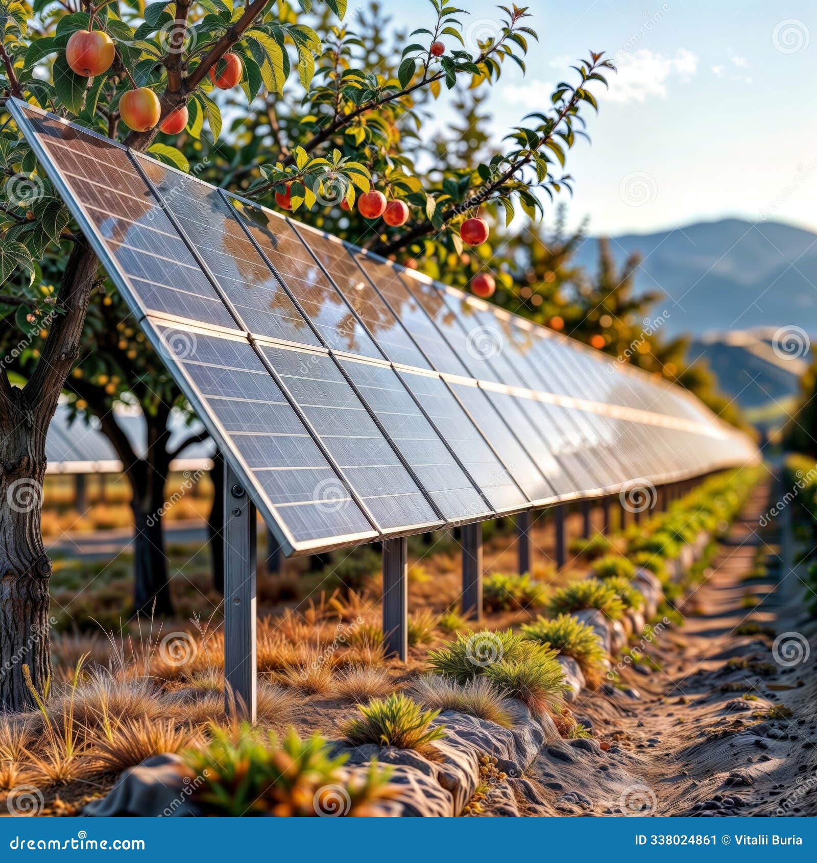 Apple Trees and Solar Arrays: a Sustainable Farming Vision, Generative ...
