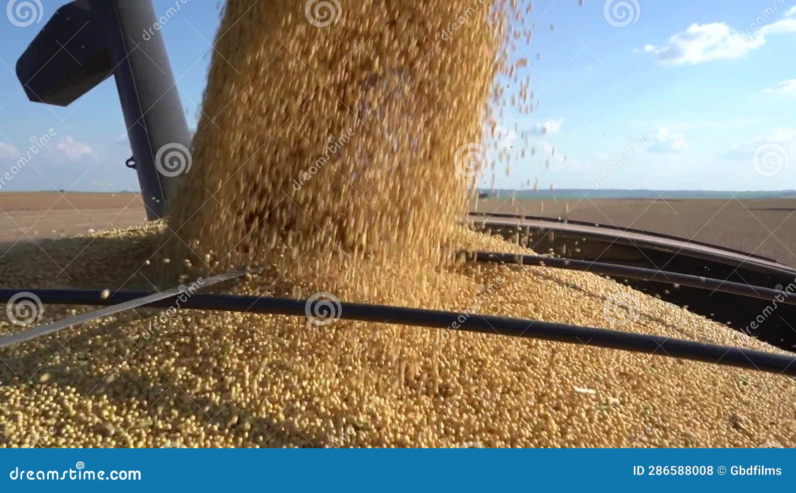 Agro Business - Loading Soybean for Storage Stock Footage - Video of ...