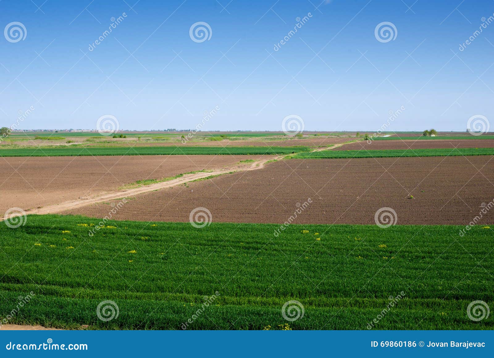 Agro field with a road stock photo. Image of field, agricultural - 69860186