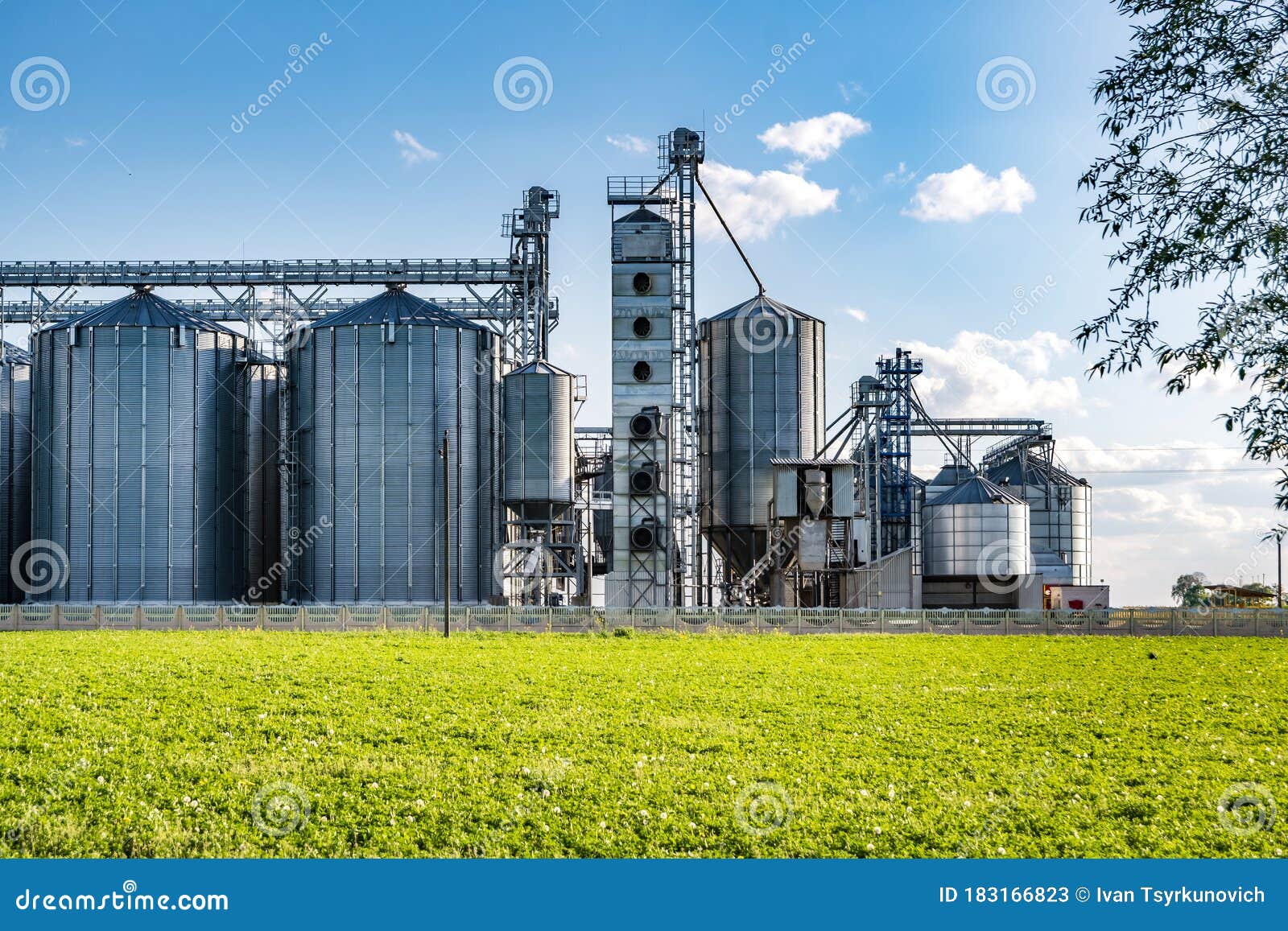Agro-processing and Manufacturing Plant for Processing and Silver Silos ...
