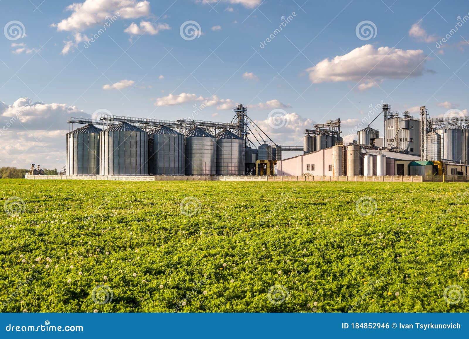 Agro-processing and Manufacturing Plant for Processing and Silver Silos ...