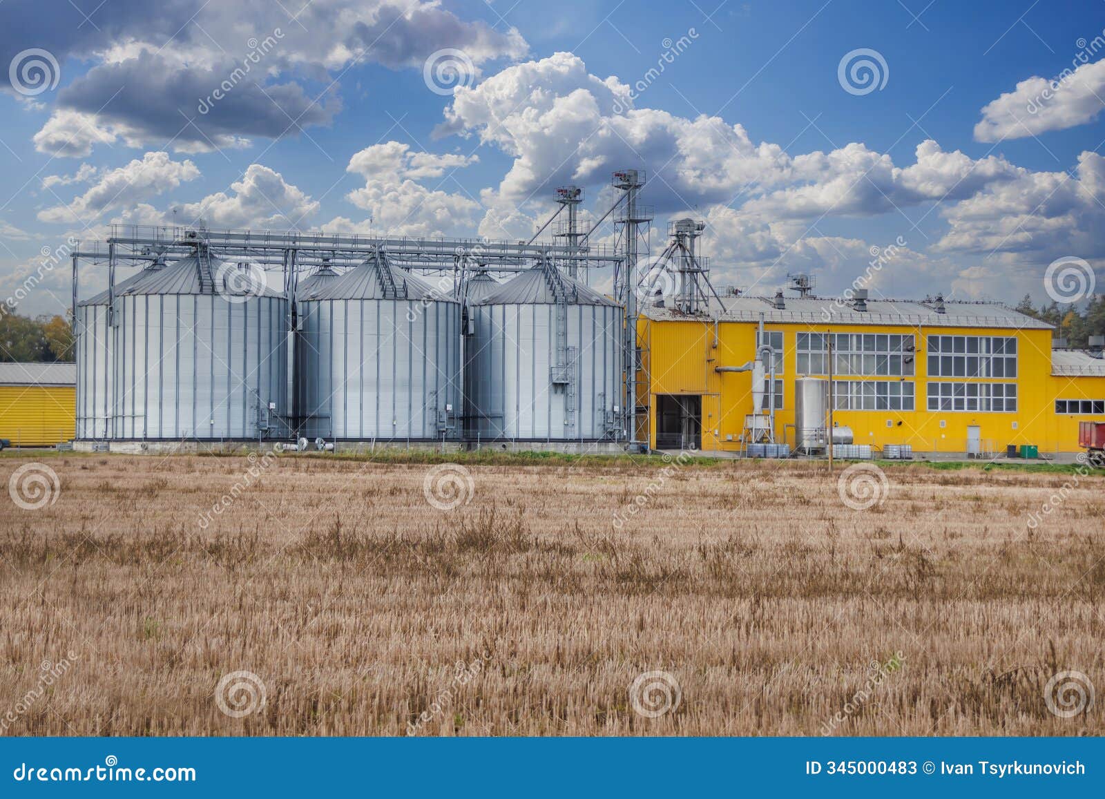 Agro-processing and Manufacturing Plant for Processing and Silver Silos ...