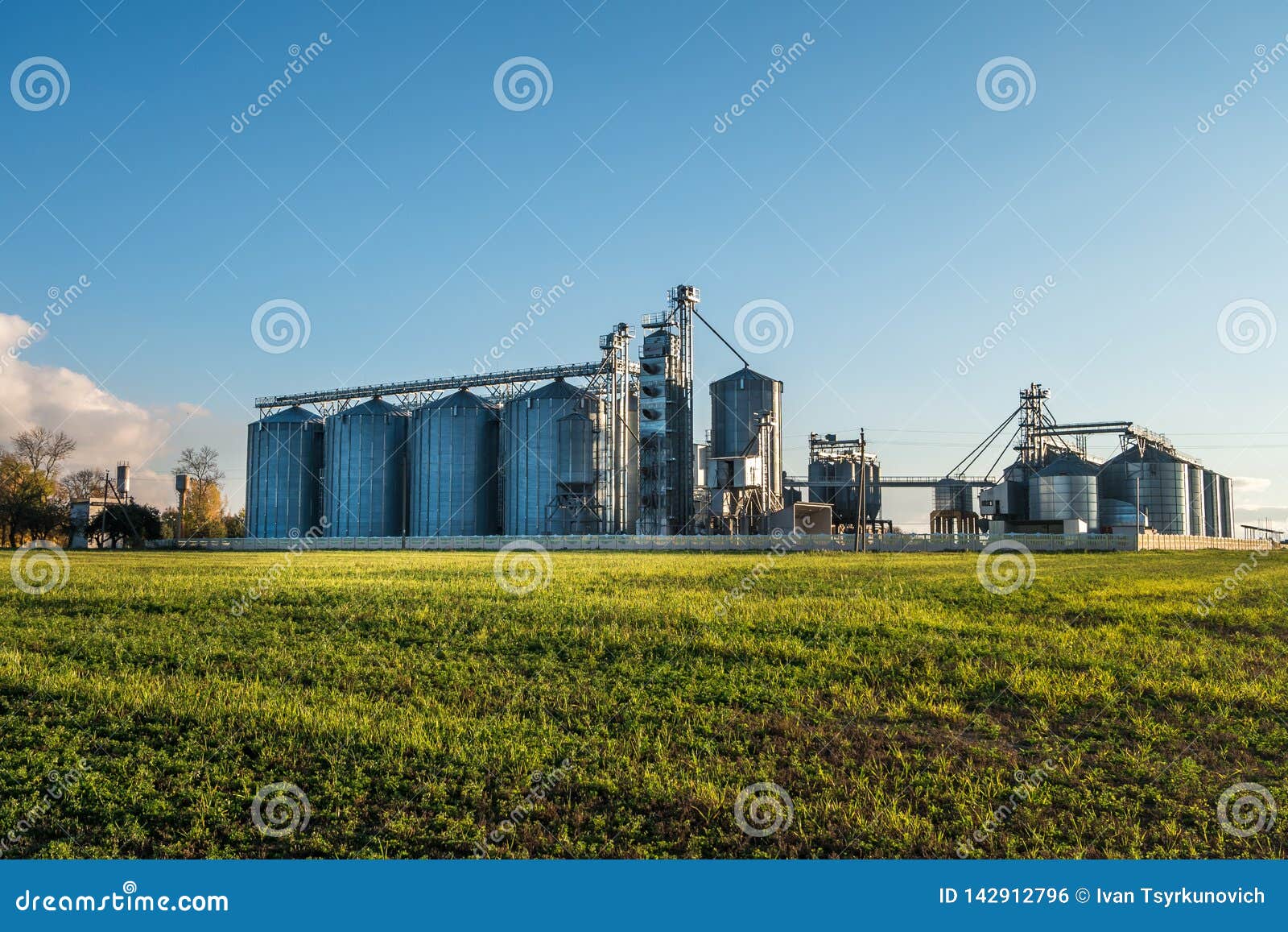Agro-processing Plant for Processing and Silos for Drying Cleaning and ...