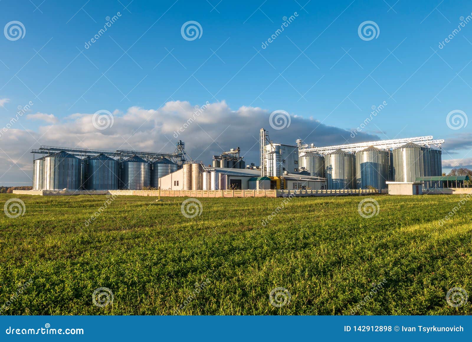 Agro-processing Plant For Processing And Silos For Drying Cleaning And ...