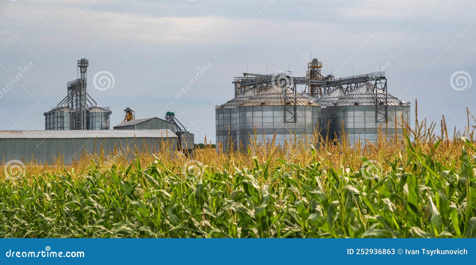 Agro Silos Granary Elevator With Seeds Cleaning Line On Agro-processing ...