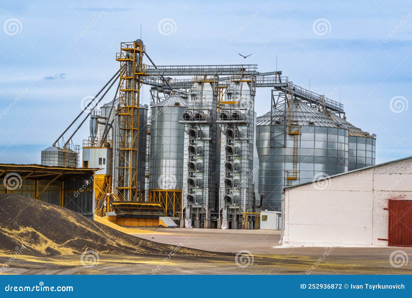 Agro Silos Granary Elevator With Seeds Cleaning Line On Agro-processing ...