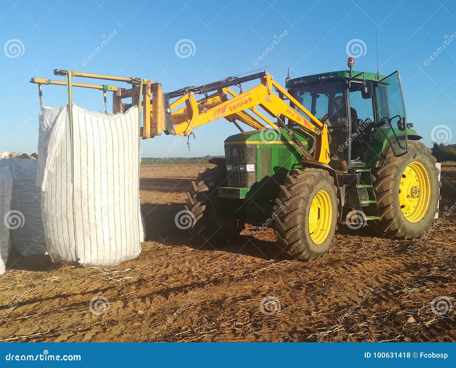 Agro Tractor Loading Potatoes in a Harvest Editorial Stock Photo ...