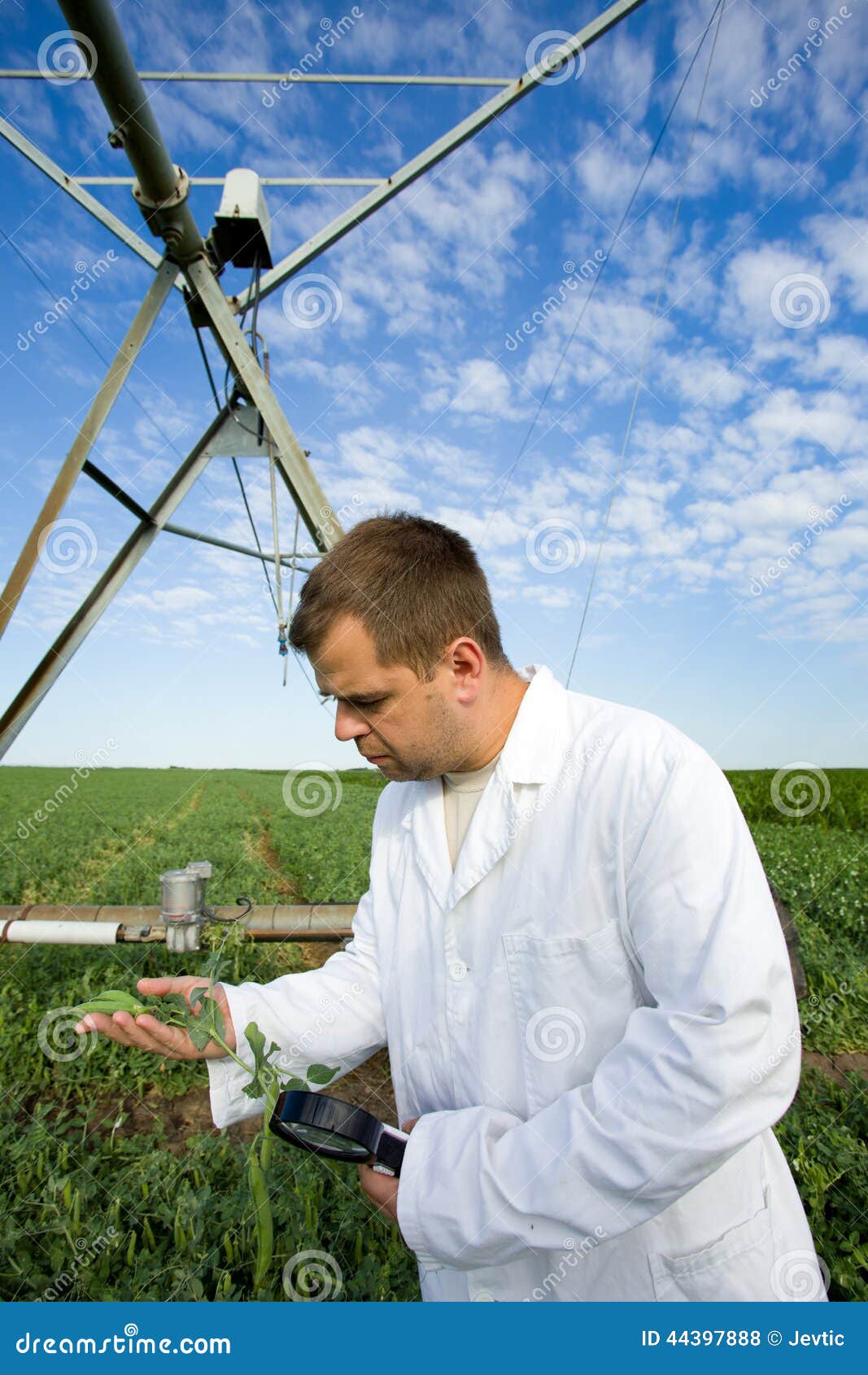 Agronomist in field stock photo. Image of machine, cultivated - 44397888