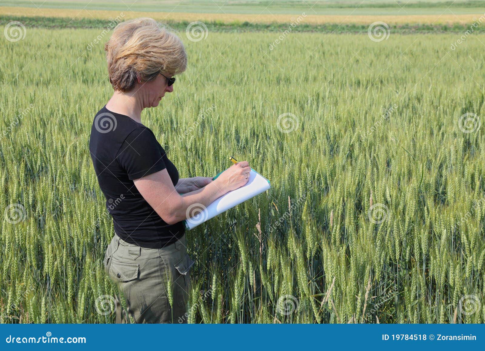 Agronomy stock photo. Image of occupation, harvest, farm - 19784518