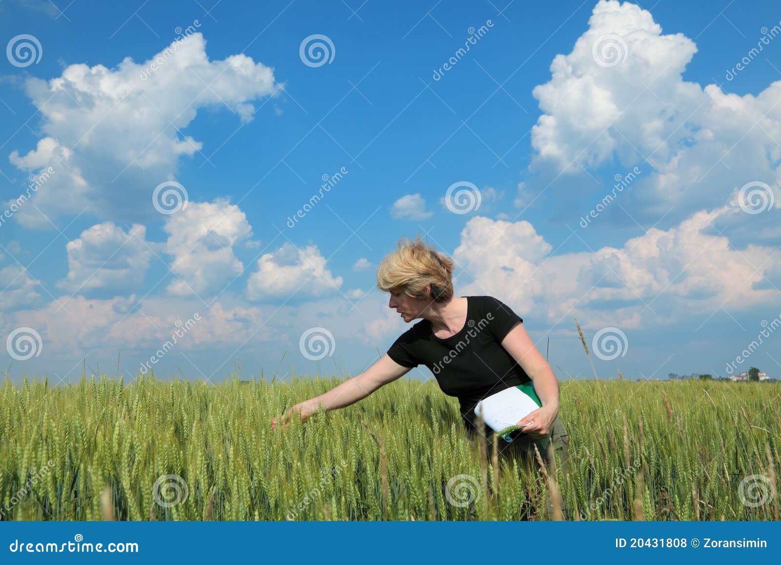 Agronomy stock photo. Image of farming, fields, analyze - 20431808