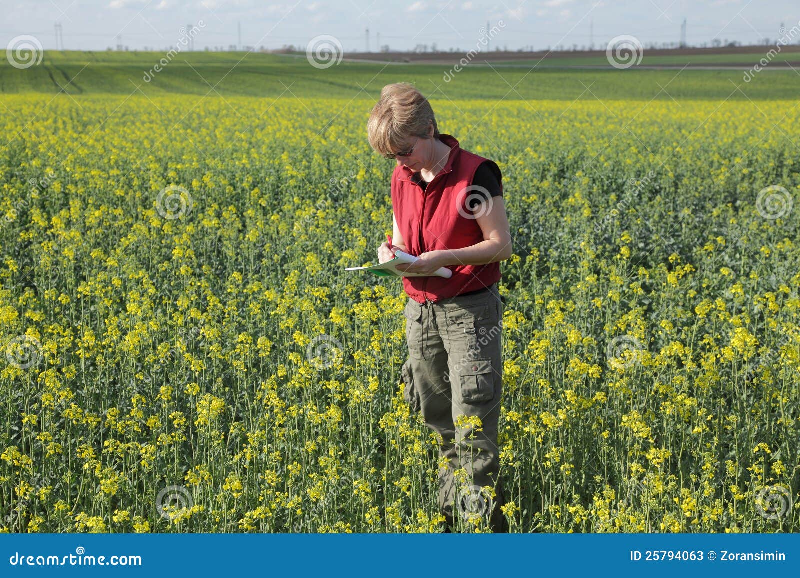 Agronomy stock image. Image of farming, farmer, countryside - 25794063