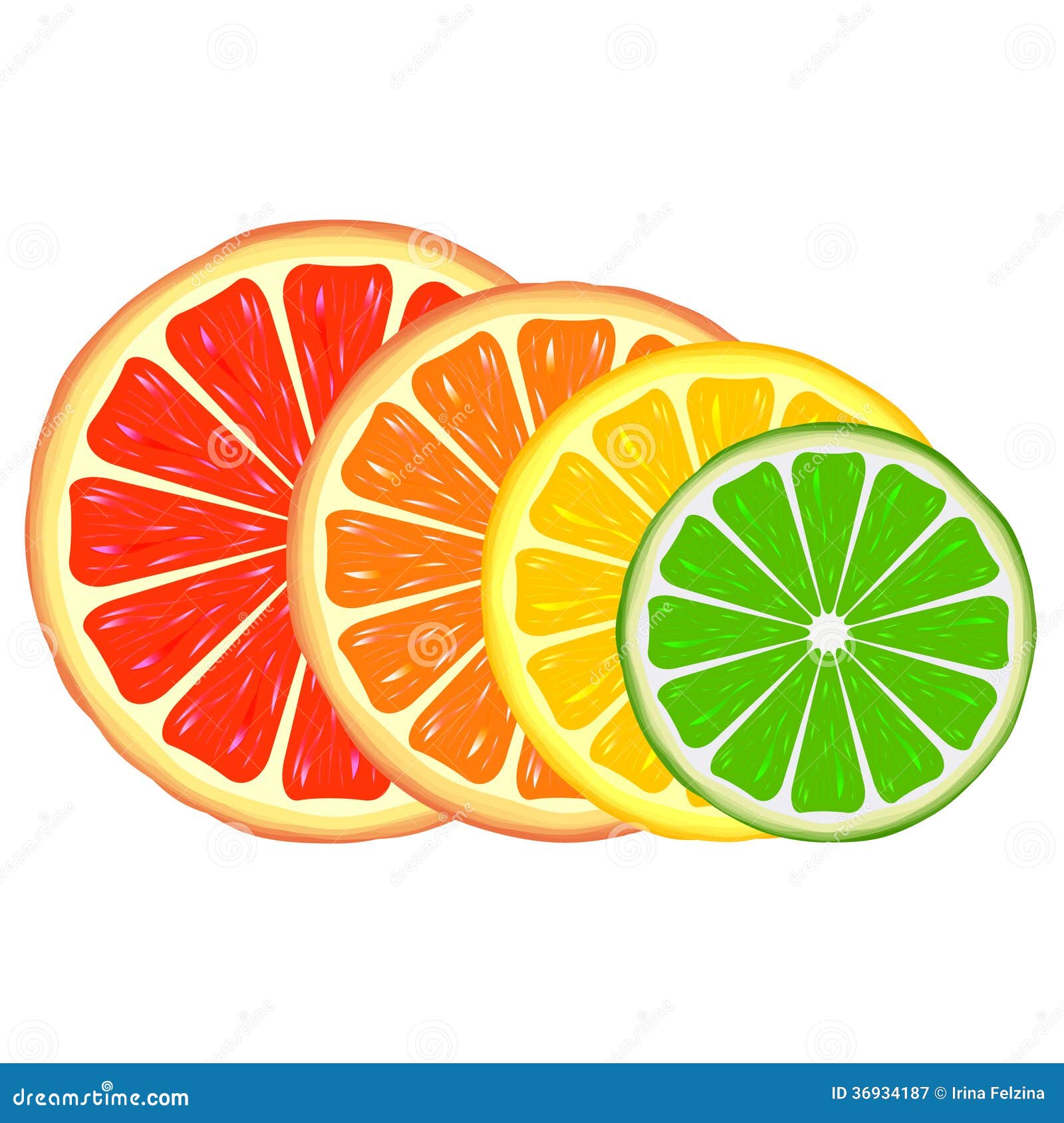 Agrume illustrazione vettoriale. Illustrazione di affettato - 36934187