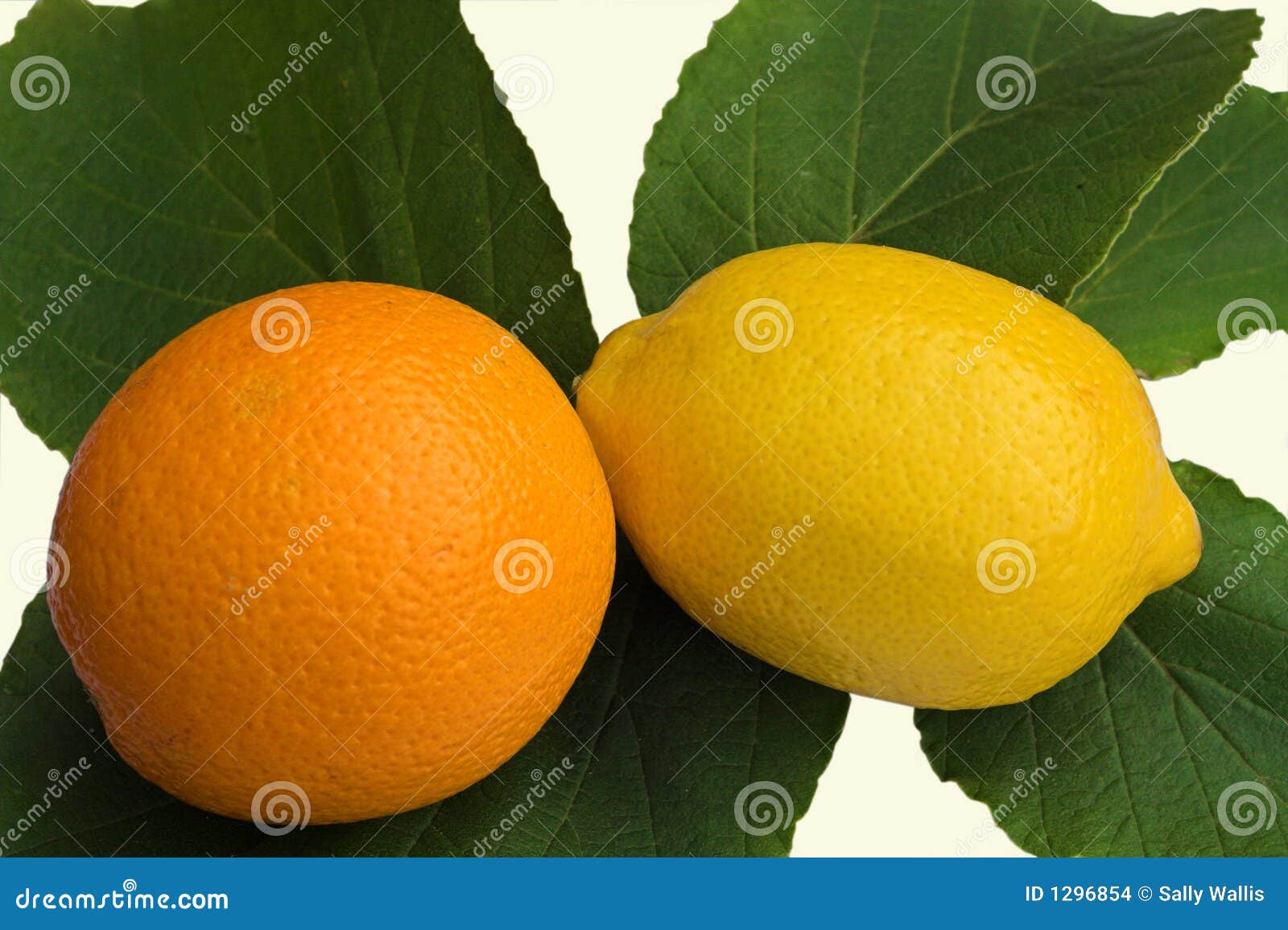 Agrumi fotografia stock. Immagine di grezzo, sano, arancione - 1296854