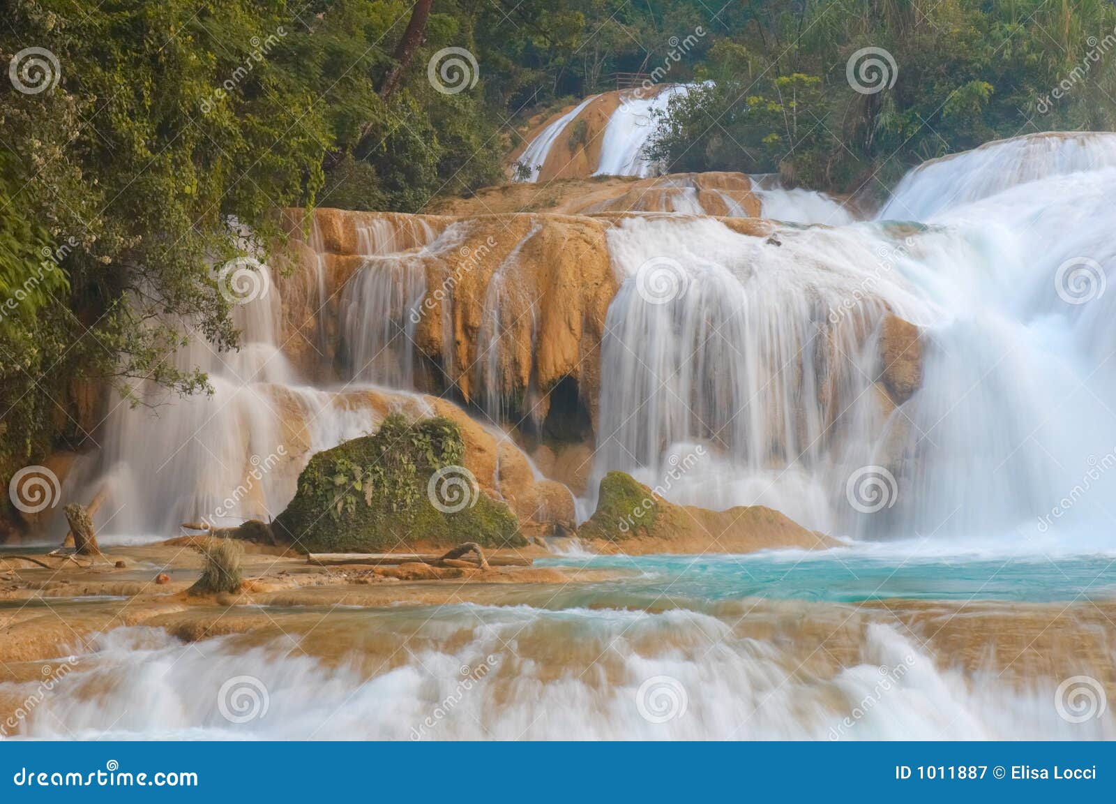 Agua Azul stock image. Image of flowing, flow, cascadas - 1011887