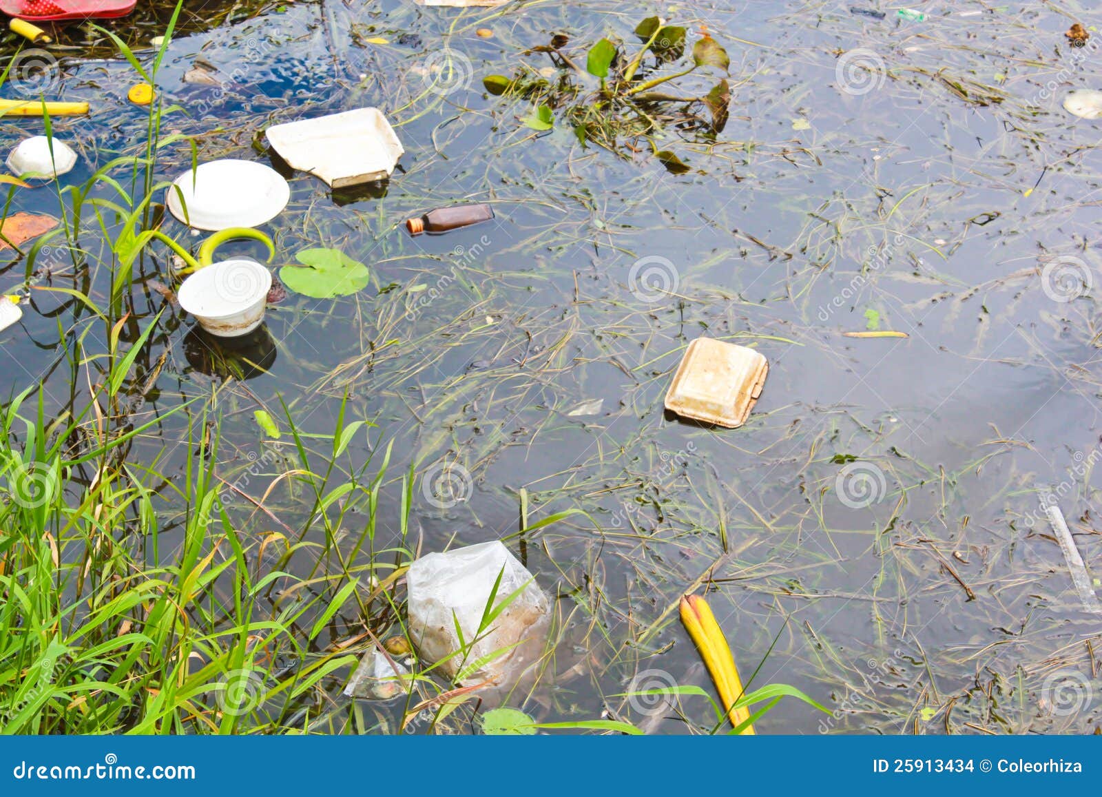 Agua contaminada foto de archivo. Imagen de chatarra - 25913434