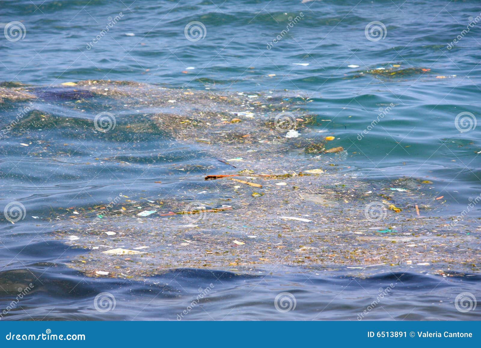 Agua Contaminada Imagen de archivo - Imagen: 6513891