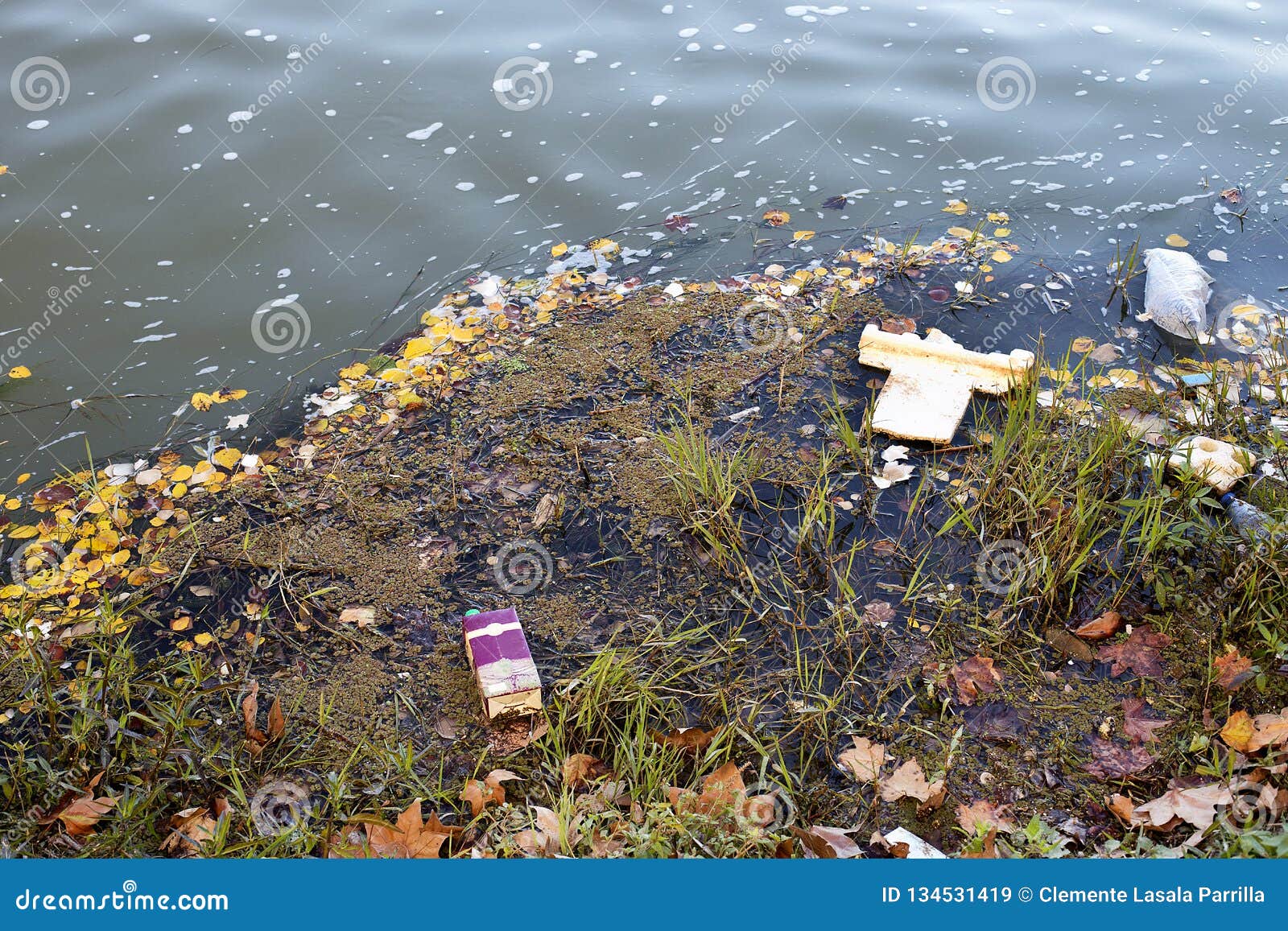 Agua Contaminada Con Desperdicios En El Río Imagen de archivo - Imagen ...