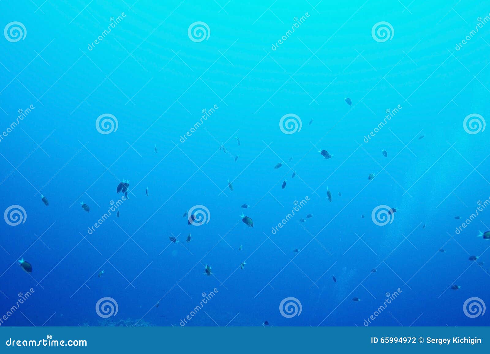 Agua De Mar Azul De La Textura Foto de archivo - Imagen de paisaje ...