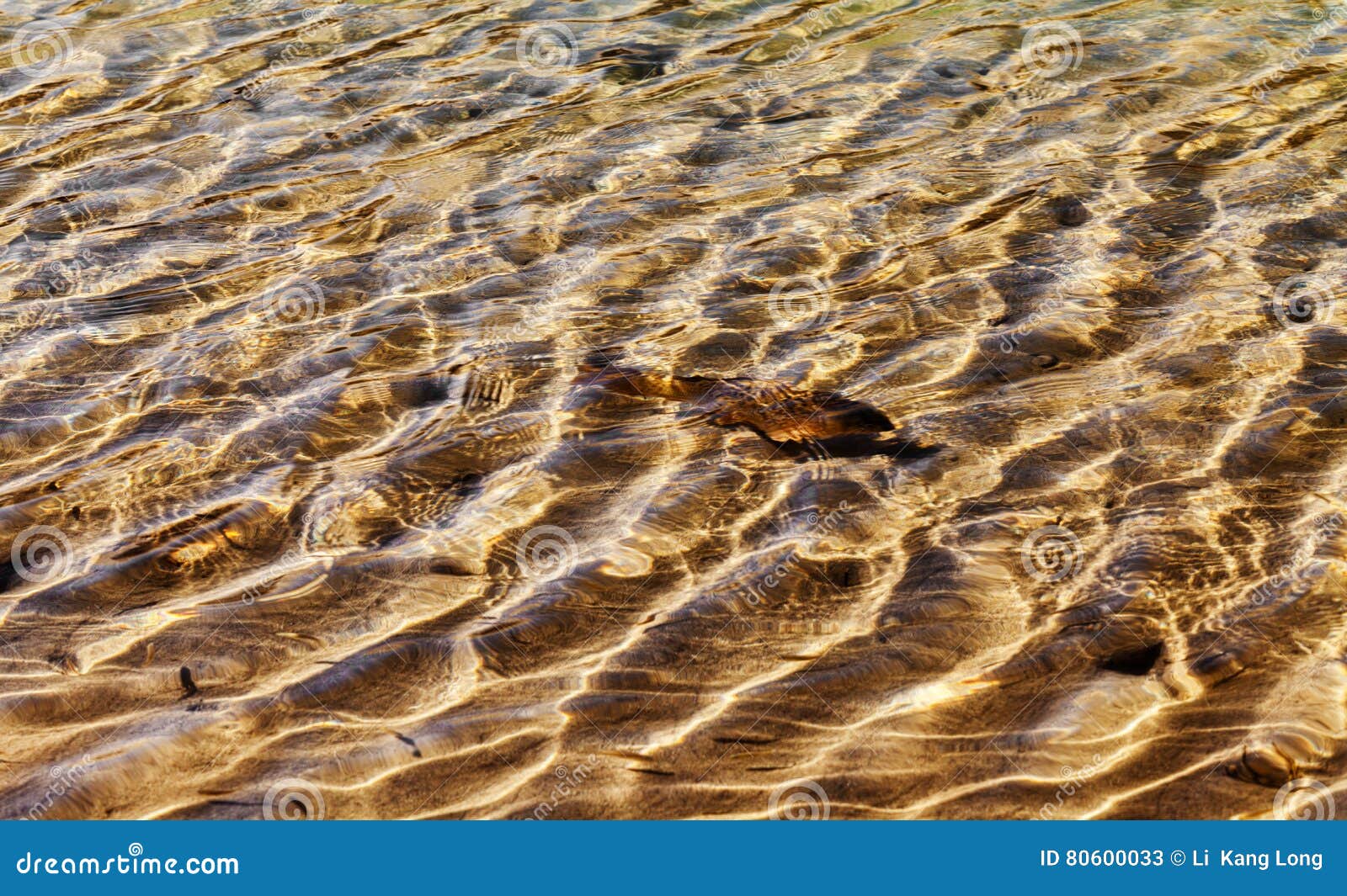 Agua en el desierto imagen de archivo. Imagen de destello - 80600033