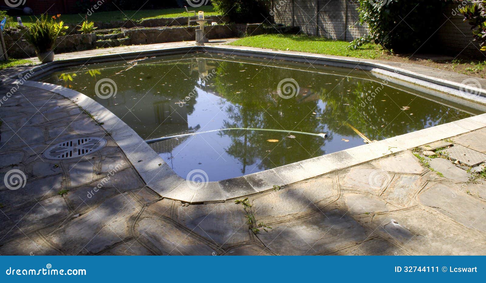 Agua estancada imagen de archivo. Imagen de hojas, estancado - 32744111