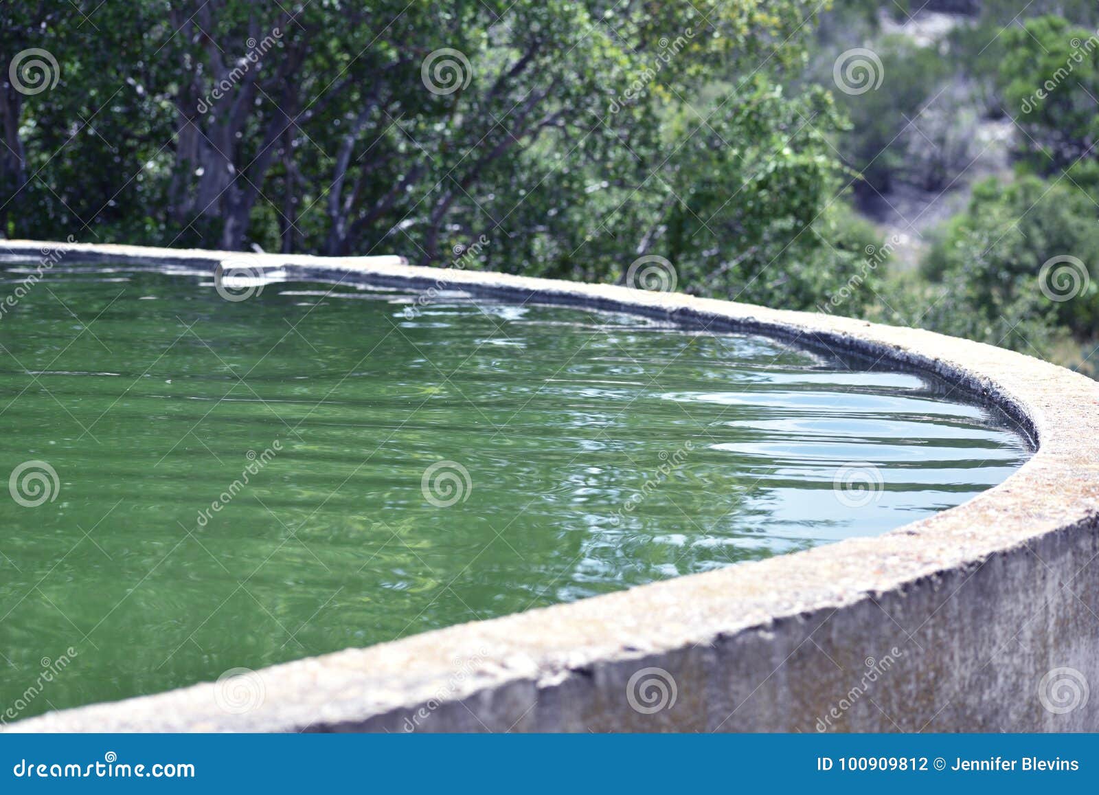 Agua Pila foto de archivo. Imagen de planta, modelo - 100909812