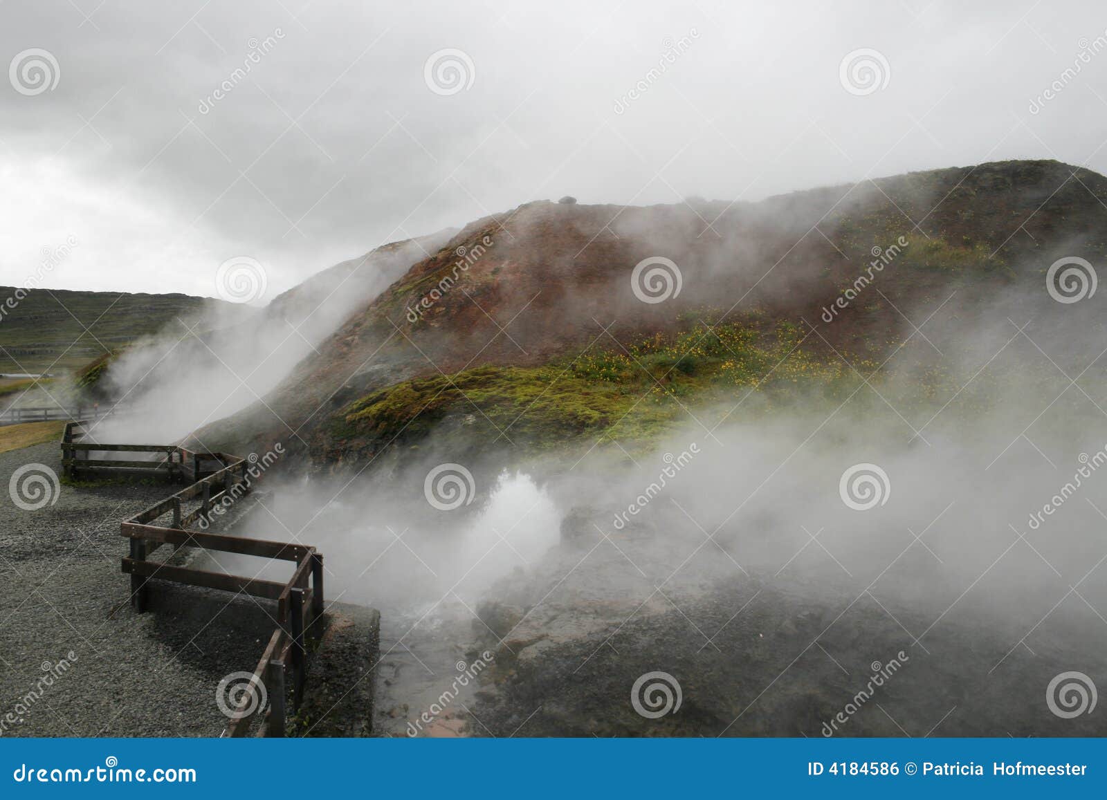 Agua Que Trata Con Vapor Caliente Foto de archivo - Imagen de verde ...