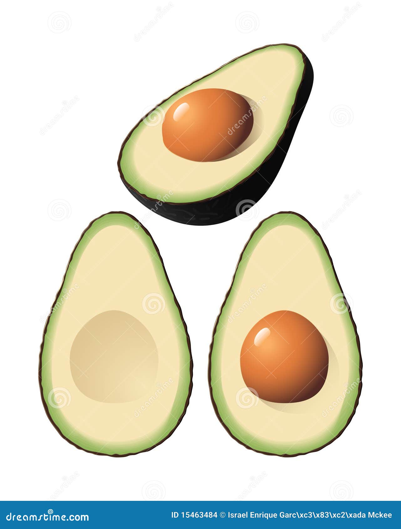 Aguacate del vector ilustración del vector. Ilustración de cubo - 15463484