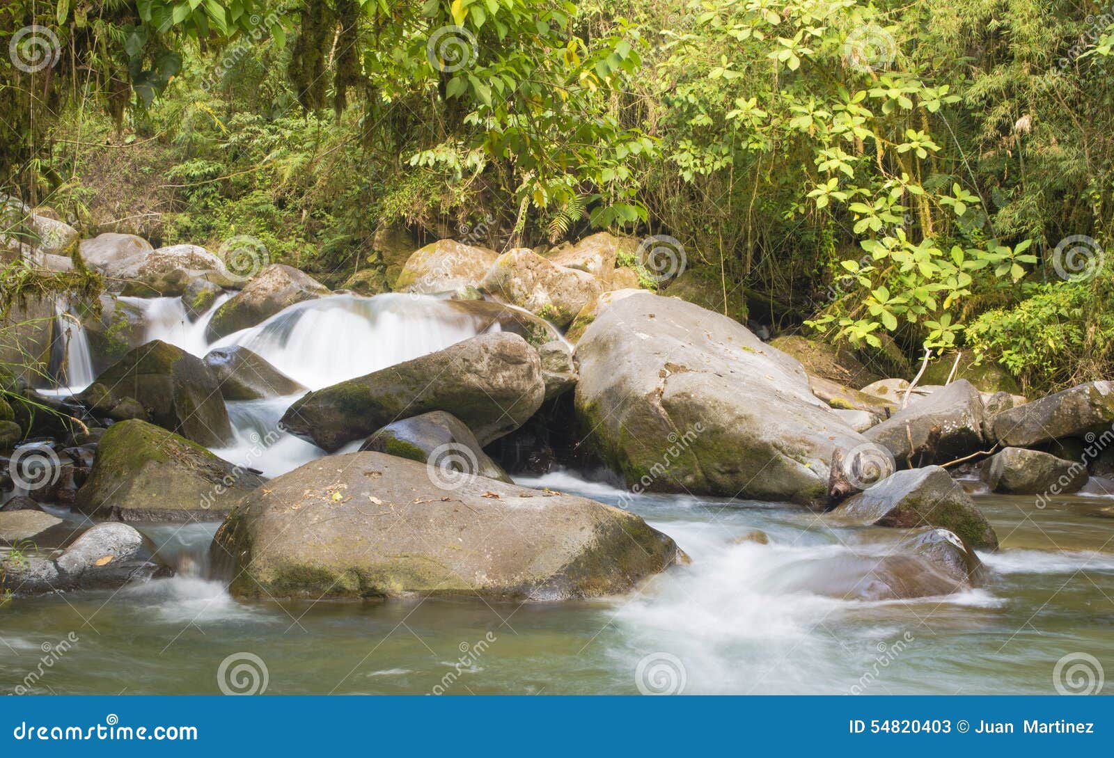 Aguas de la selva imagen de archivo. Imagen de puro, reserva - 54820403