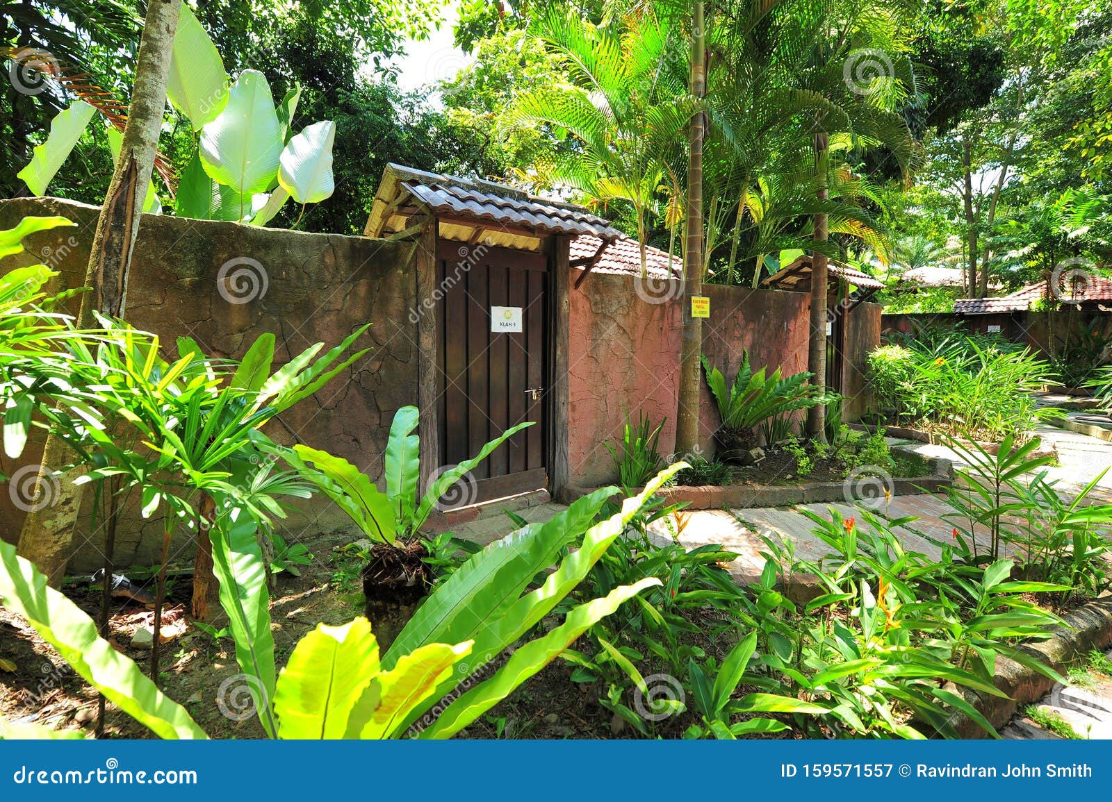 Aguas Termales De Sungai Klah Fotografía editorial - Imagen de caliente ...