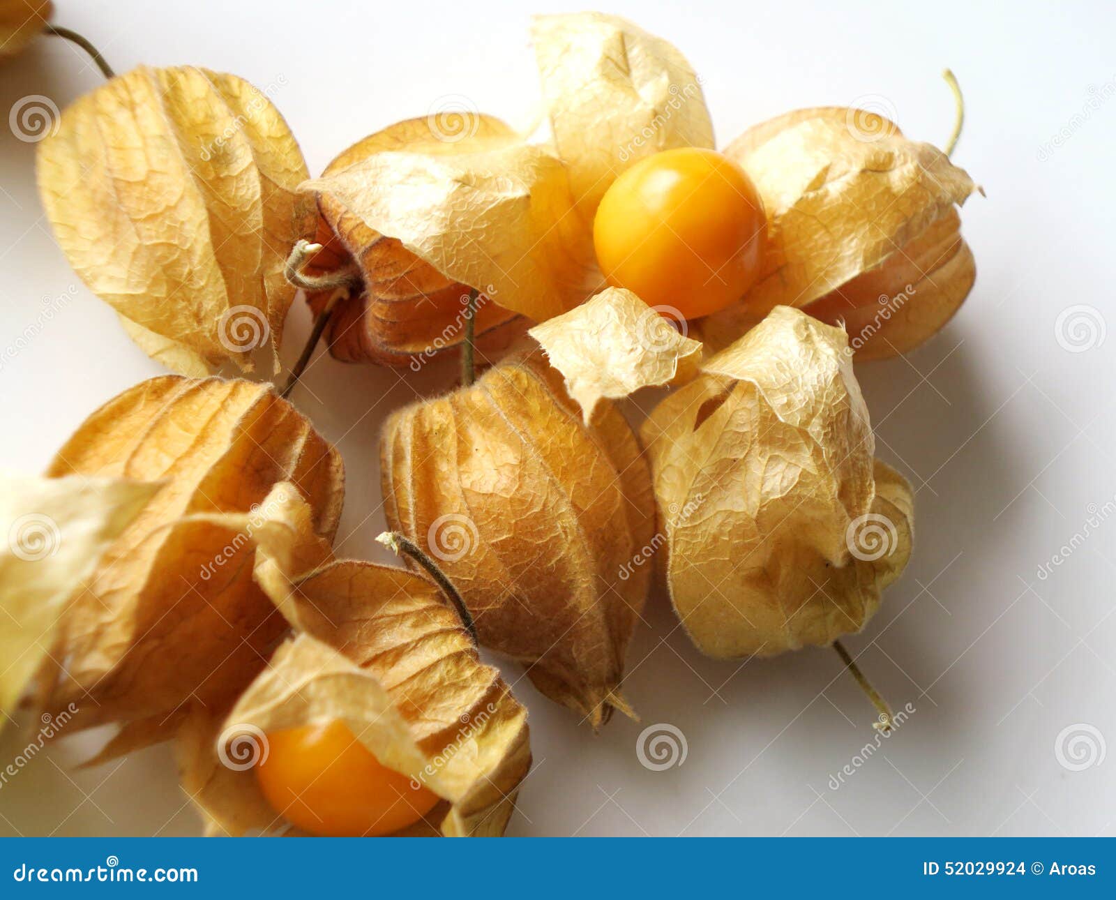 Aguaymanto, fruta peruana foto de archivo. Imagen de cerezas - 52029924