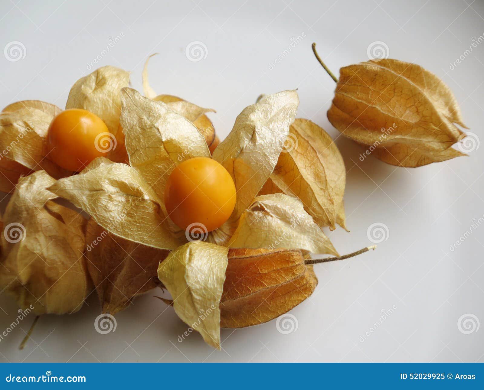 Aguaymanto, Peruvian fruit stock image. Image of giant - 52029925
